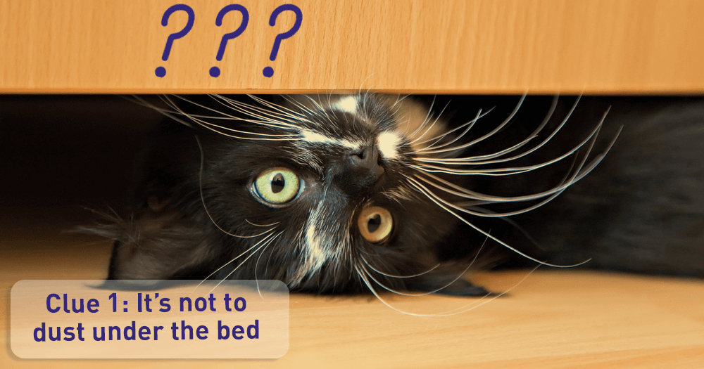 How To Get Cat To Stop Hiding Under Bed Bed Western how-to-get-cat-to-stop-hiding-under-bed-bed-western